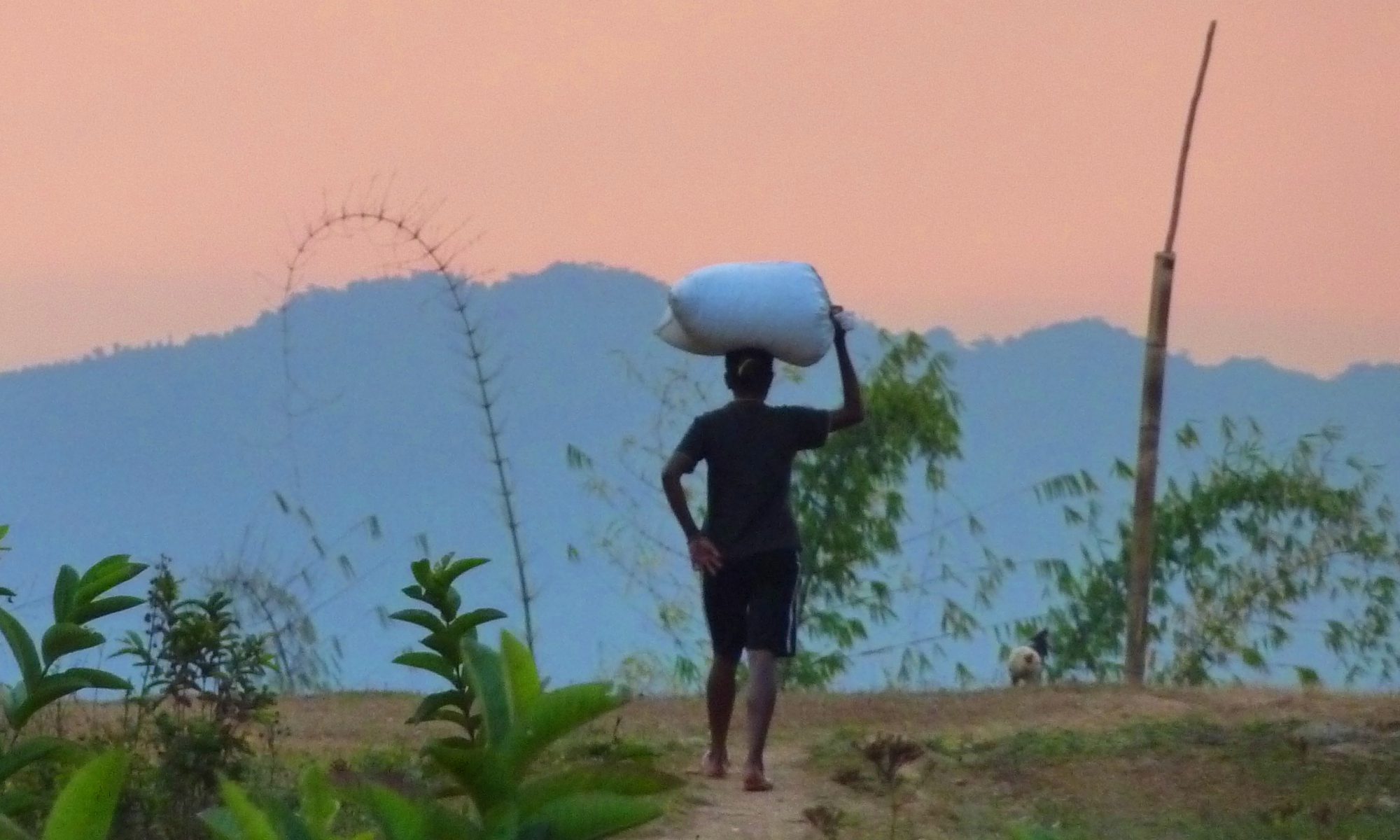 Kaffee in Ost-Timor – Im Einsatz aus Liebe zum Menschen